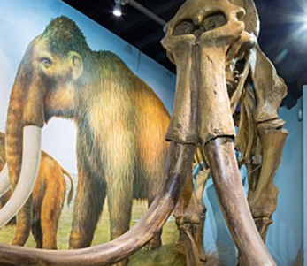 Prehistory – Longnor Village History